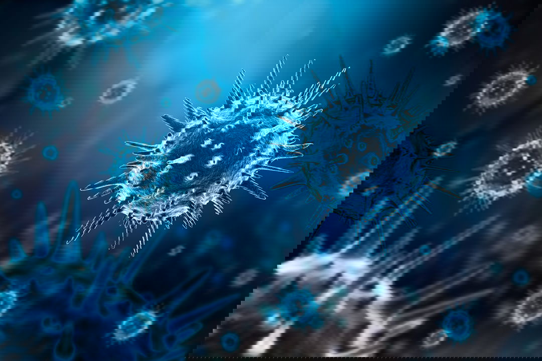 Fliegen mit Infektion