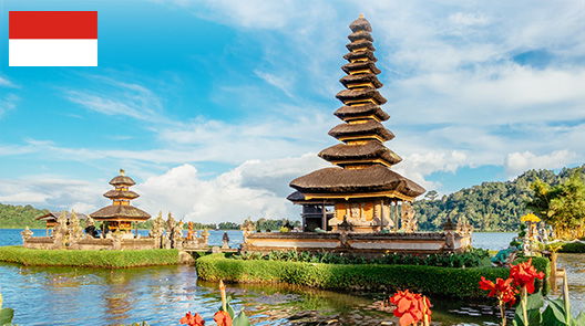 Air Ambulance Services from Bali to Australia and vice versa: Soaring ...